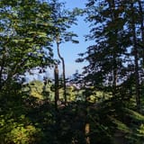 Camp Long Trails, Washington - 166 Reviews, Map | AllTrails