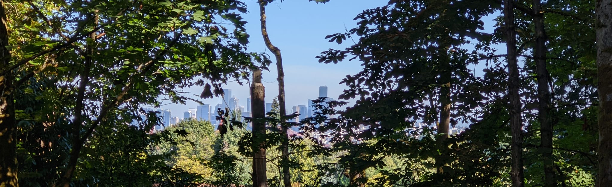 Camp Long Trails, Washington - 136 Reviews, Map | AllTrails