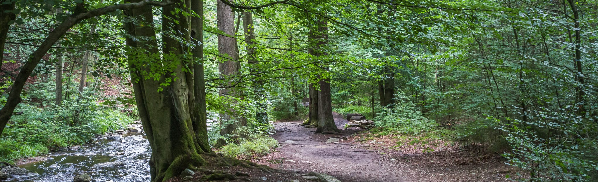 AllTrails | Vallée de La Hoëgne - Hockai: 78 Reviews, Map - Liège, Belgium