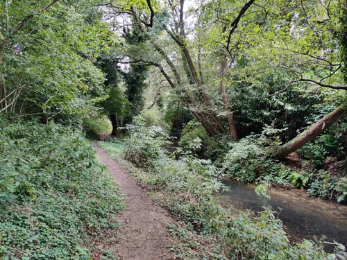 2023 Best 10 Trails and Hikes in Bordon | AllTrails