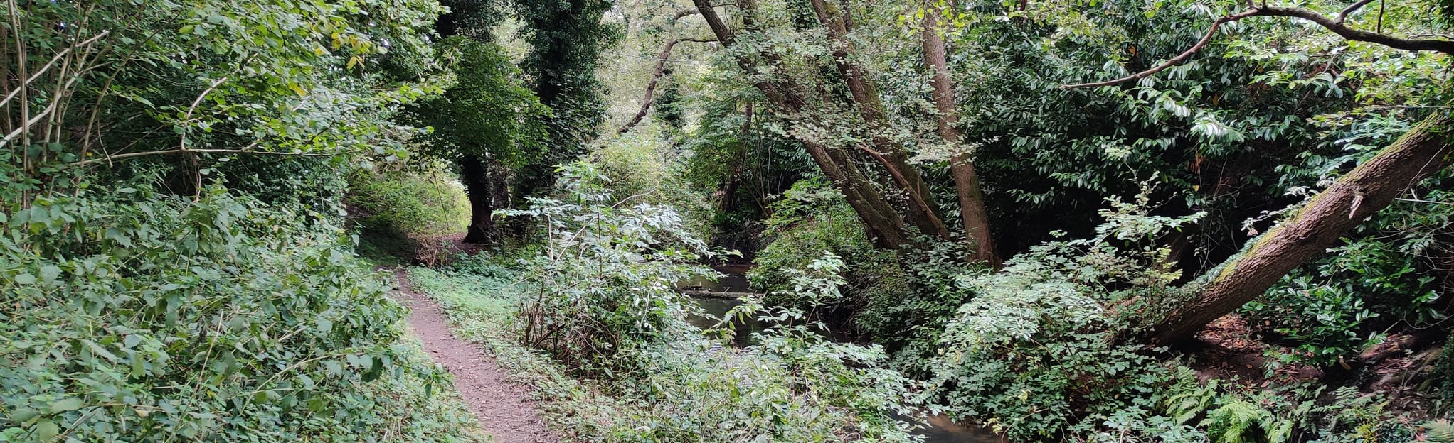 Standford, River Wey and Conford, Hampshire, England - 15 Reviews, Map ...