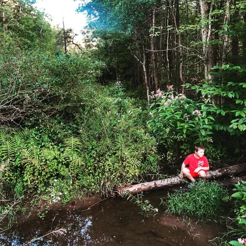 Best Hikes and Trails in Charles E. Baker State Forest | AllTrails