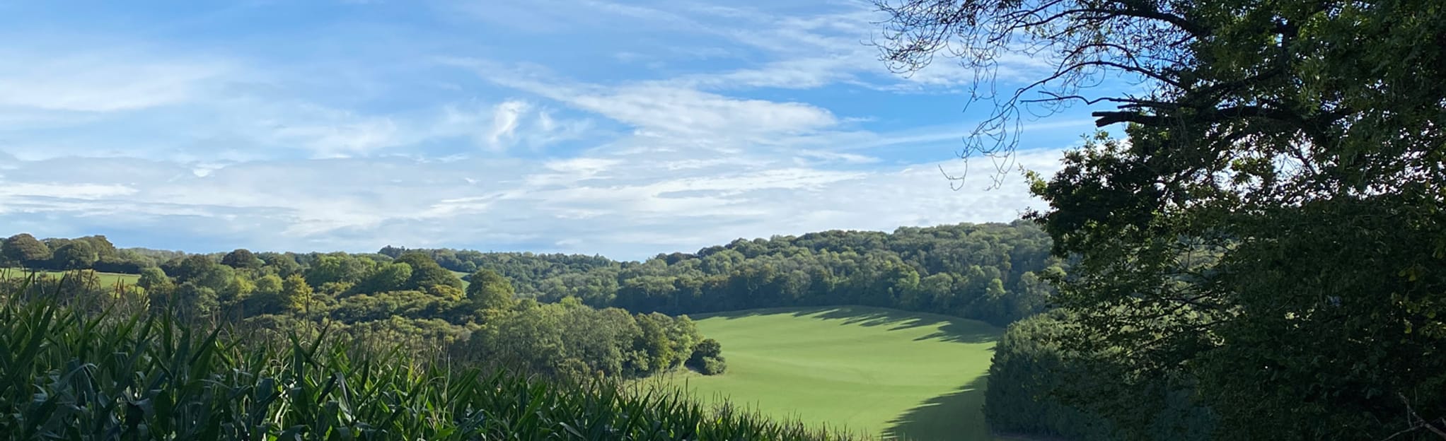 Jack Russell Inn and Faccombe Estate : 124 Photos - Hampshire ...