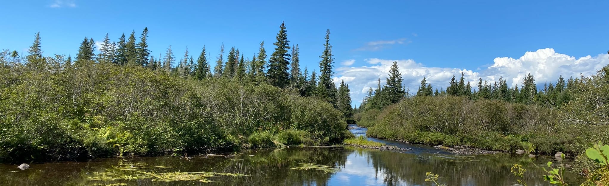 Gully Lake Wilderness Loop, Nova Scotia, Canada - 29 Reviews, Map ...