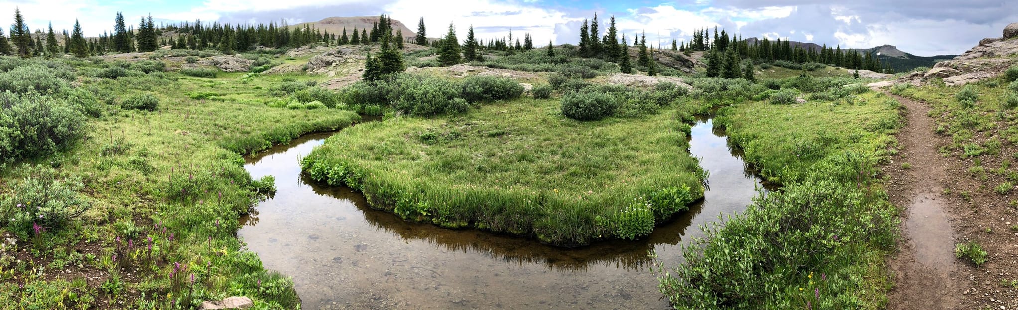 Alltrails Trappers Lake Trail 1 Reviews Map Colorado