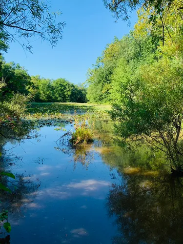 10 Best Hikes and Trails in Watchung Reservation | AllTrails