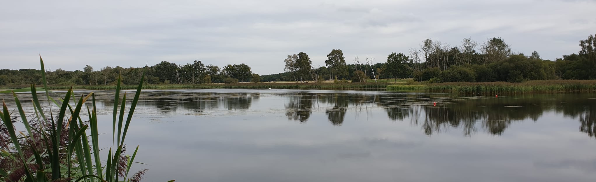 Pingo Circular, Norfolk, England - 134 Reviews, Map | AllTrails