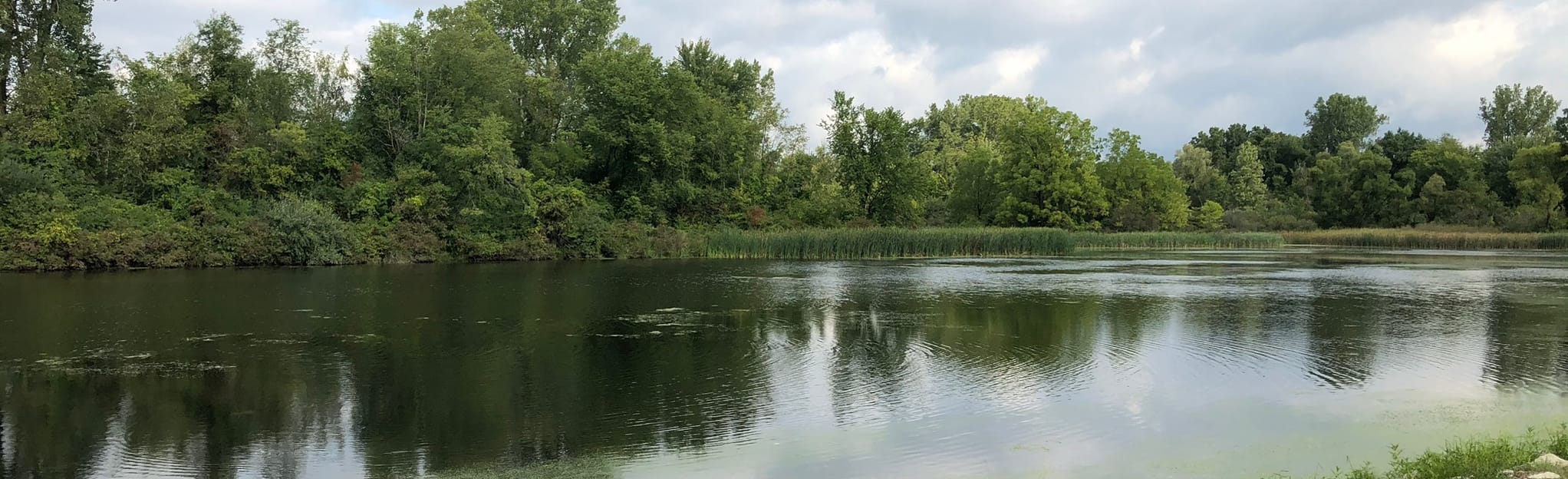 Hewen's Creek Yellow and Red Loop | Map, Guide - Michigan | AllTrails