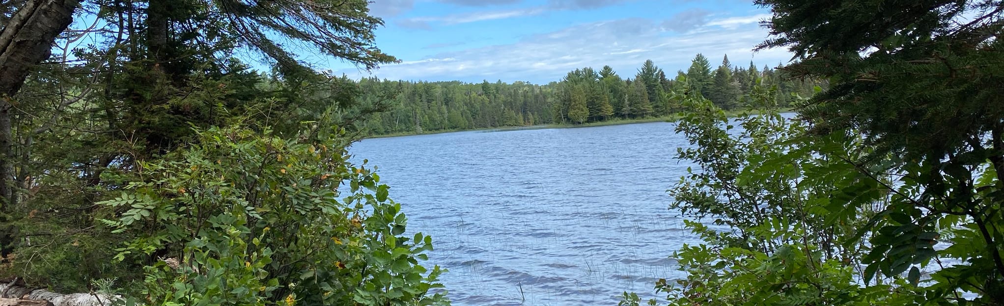 AllTrails | Chickenbone Lake to Hatchet Lake: 37 Reviews, Map - Michigan