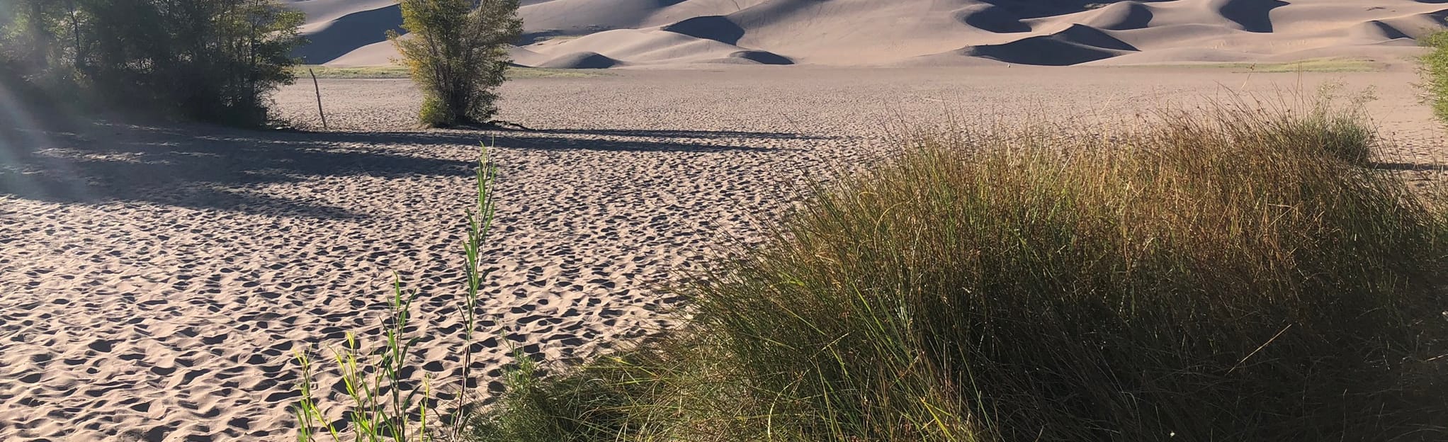 Great Sand Dunes Viewpoint Trail, Colorado - 45 Reviews, Map | AllTrails