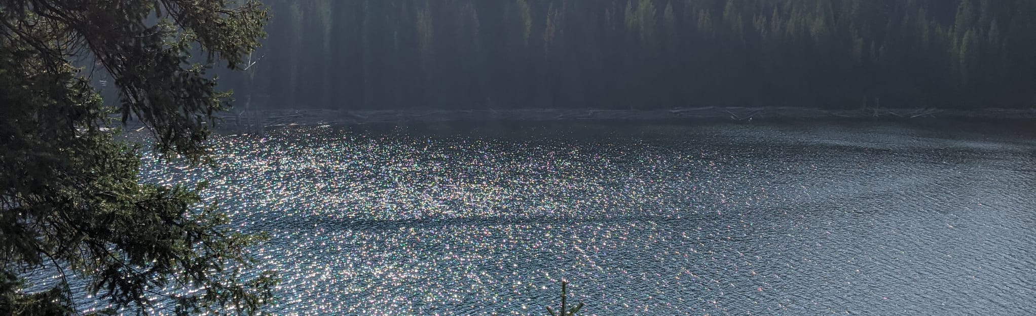 Olive Lake: 7 Reviews, Map - Oregon | AllTrails