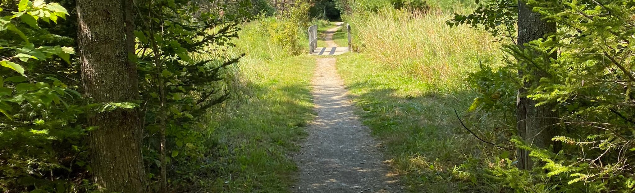 Roland Perry City Forest East/West Loop, Maine - 654 Reviews, Map ...