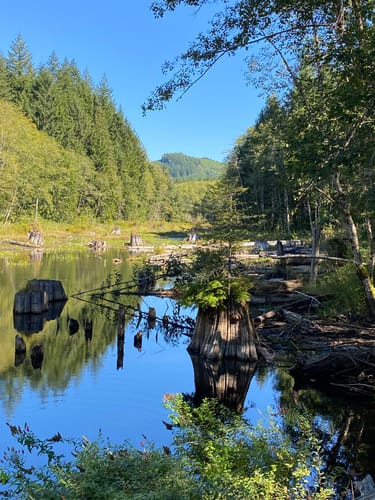 Best Hikes and Trails in Morton | AllTrails