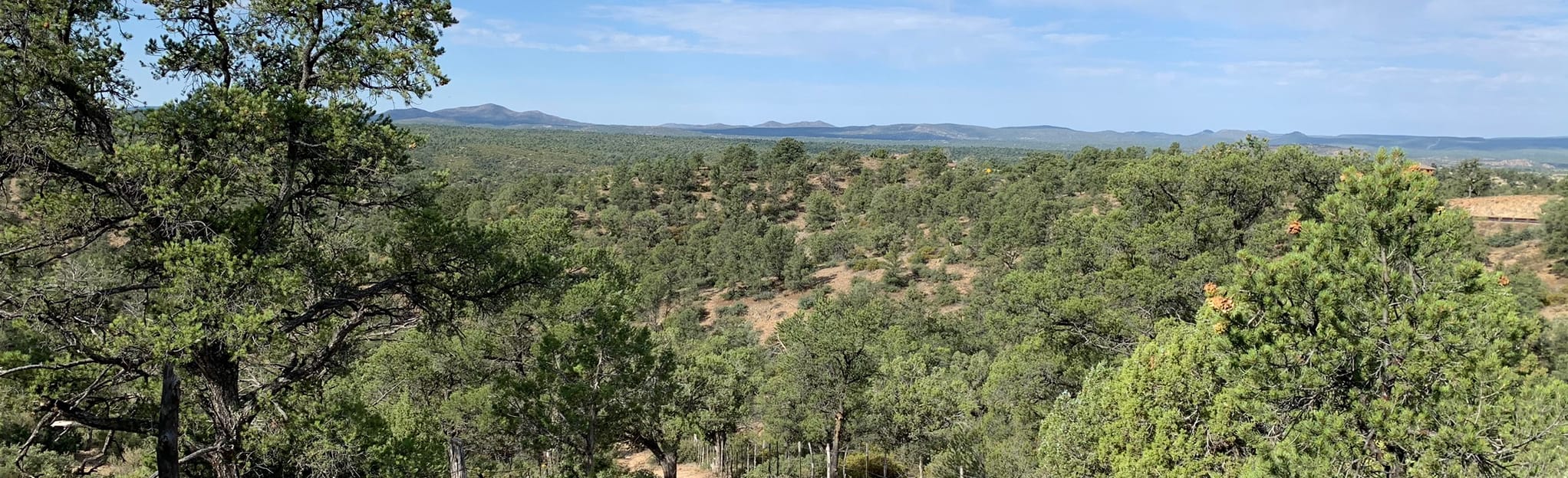 Almosta Trail: 92 Reviews, Map - Arizona | AllTrails