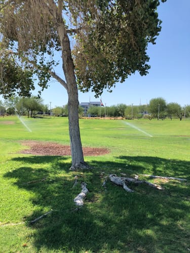 Best Hikes and Trails in Rio Salado Park | AllTrails
