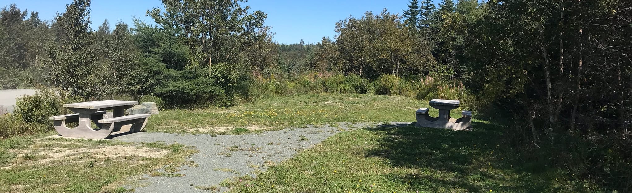 Bidgood Park, Newfoundland and Labrador, Canada - 78 Reviews, Map | AllTrails