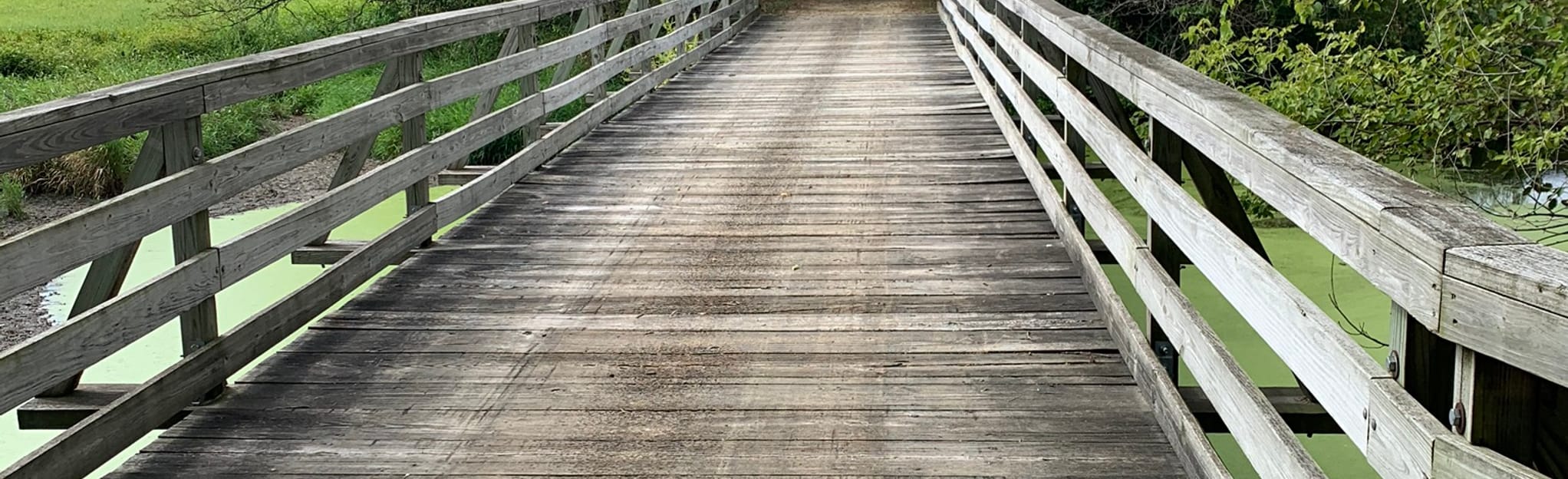 Jane Addams Trail:Freeport to Buena Vista, Illinois - 10 Reviews, Map ...