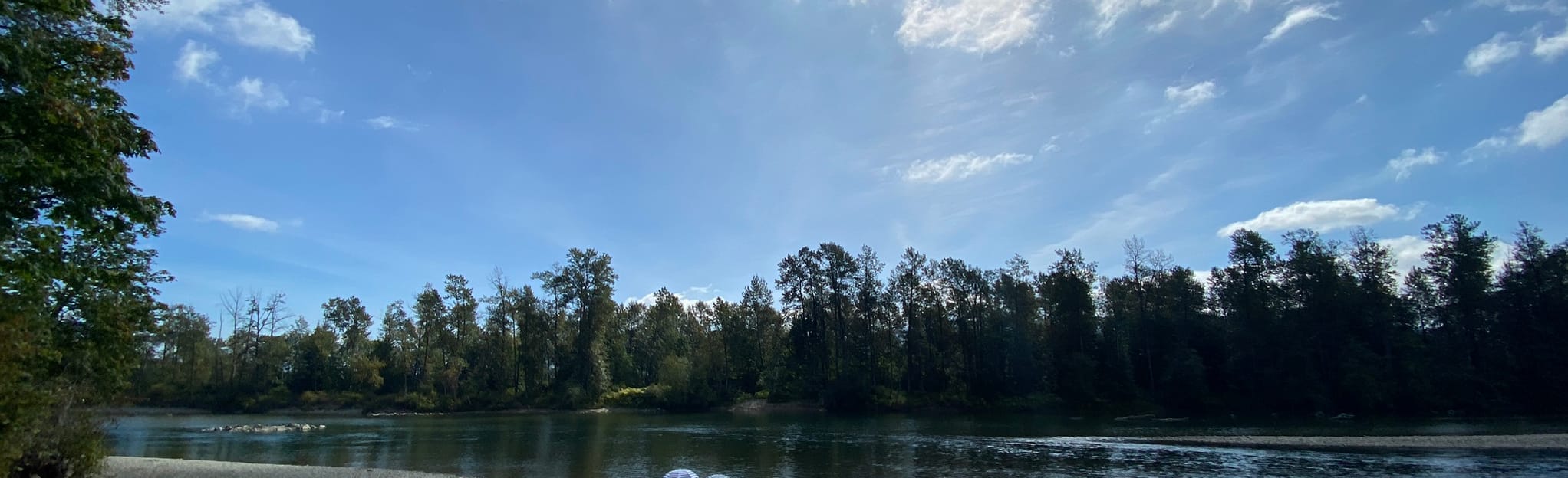 Al Borlin Park Loop - Washington | AllTrails