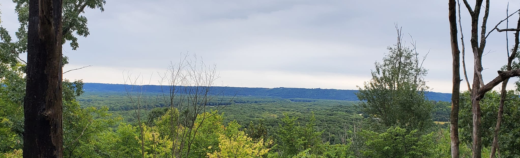 AllTrails | Five-Mile Bluff Prairie Loop: 39 Reviews, Map - Wisconsin