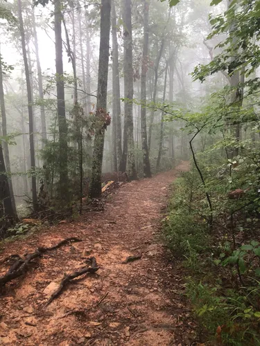 Best Hard Trails in Oak Mountain State Park | AllTrails