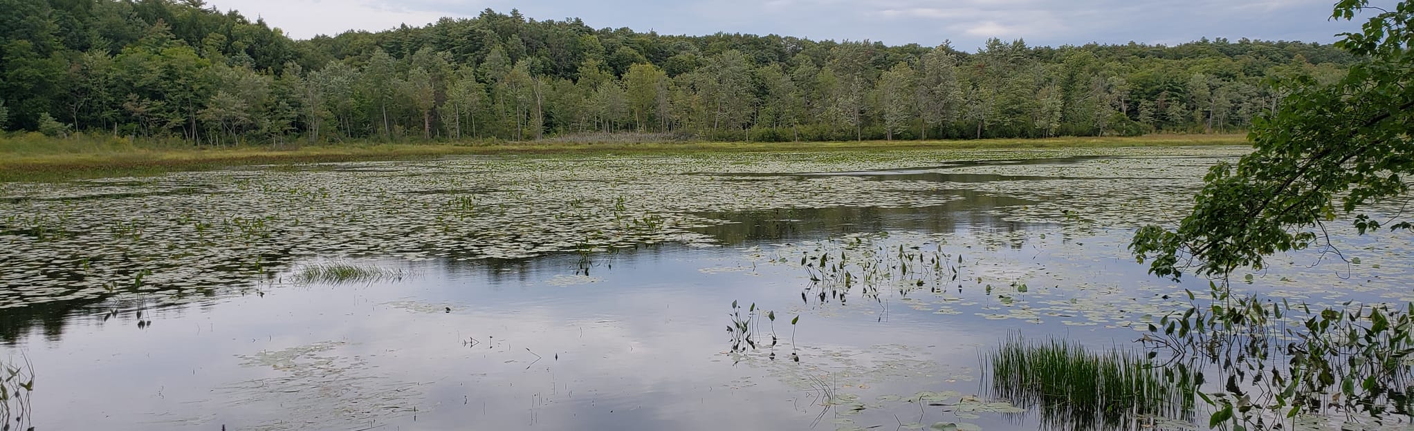 Hudson Pointe Nature Preserve, New York - 687 Reviews, Map | AllTrails