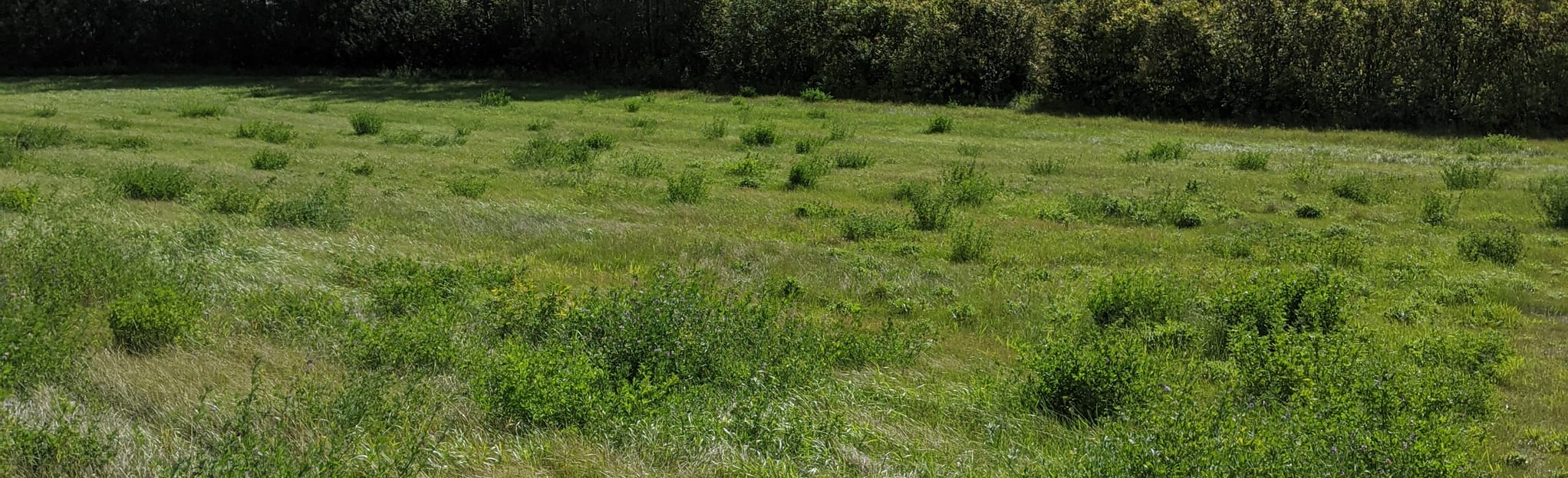 Rosedale Farm Trail: 58 Reviews, Map - Manitoba, Canada | AllTrails