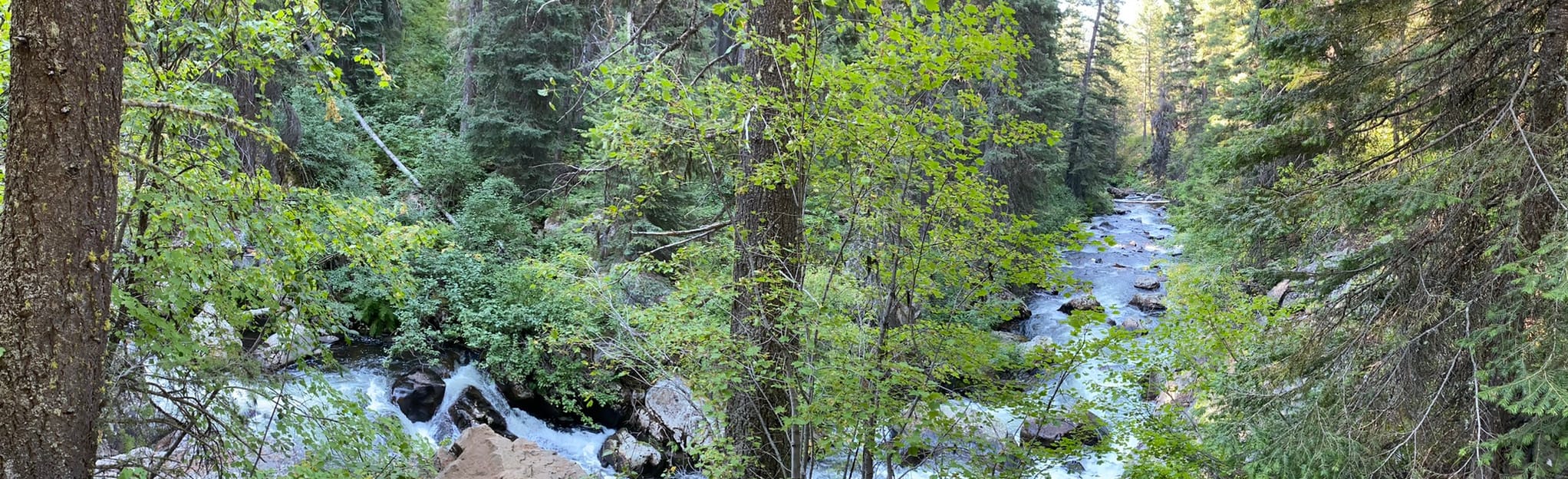 Goose Creek Trail, Idaho - 185 Reviews, Map | AllTrails