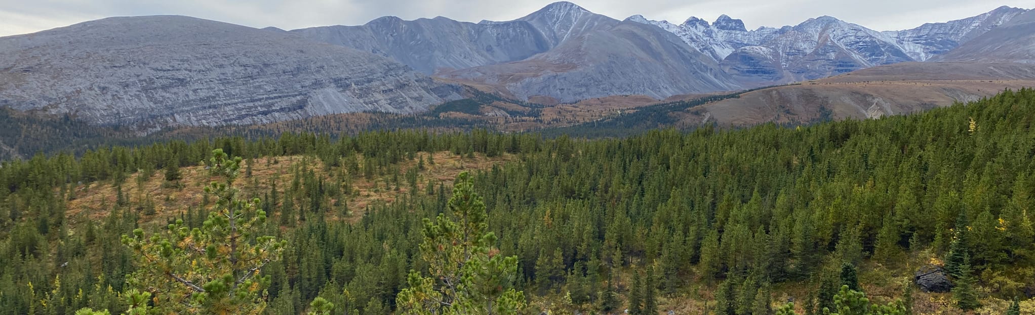 Summit Peak Trail: 59 Reviews, Map - British Columbia, Canada | AllTrails