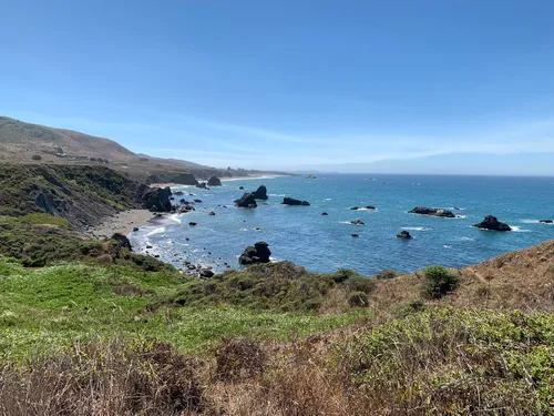 10 Best Hikes and Trails in Sonoma Coast State Park | AllTrails