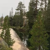 Kibbie Lake Trail, California - 148 Reviews, Map | AllTrails