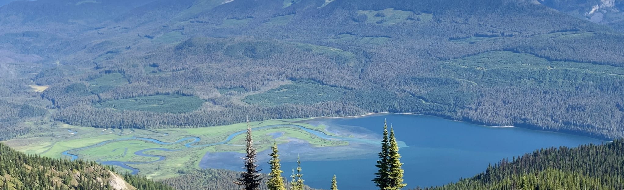 Cameron Ridge Trail: 4 Reviews, Map - British Columbia, Canada | AllTrails
