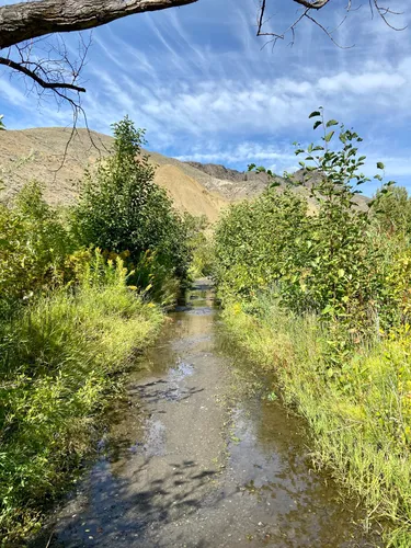 10 Best River Trails in Kamloops | AllTrails
