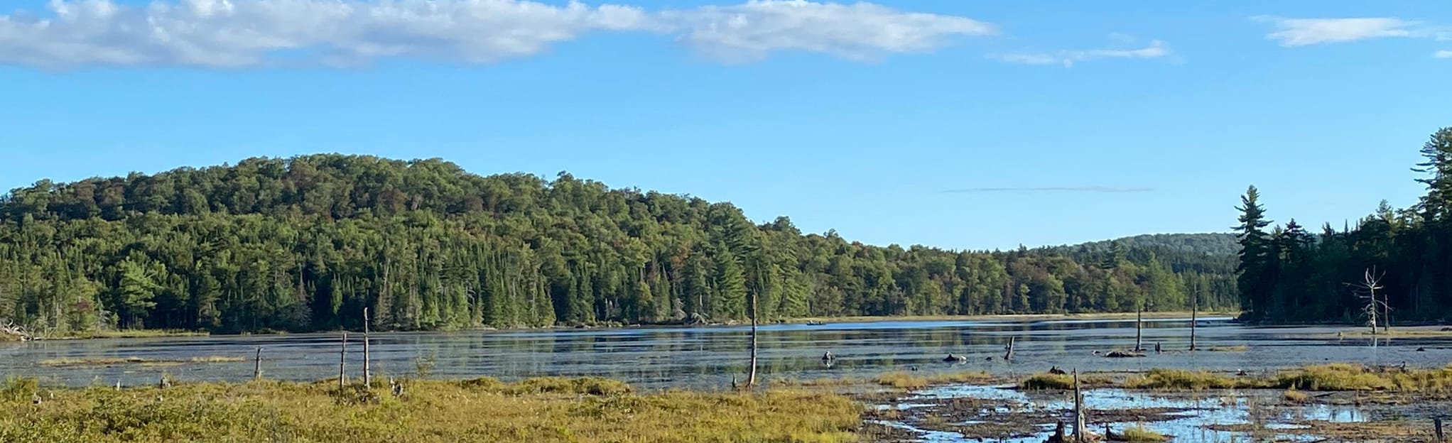 Cranberry Lake 50 Loop: 213 Reviews, Map - New York | AllTrails