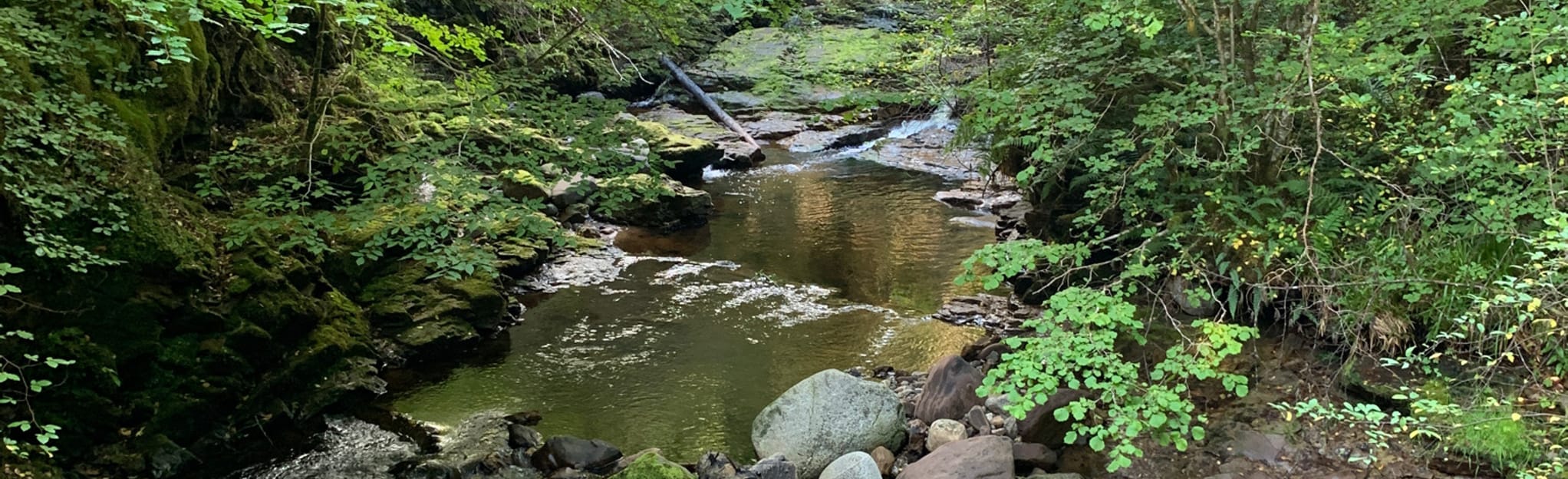 Big Burn Falls Circular, Highlands, Scotland - 92 Reviews, Map | AllTrails