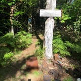 Seward Mountains and Cold River Loop, New York - 19 Reviews, Map ...