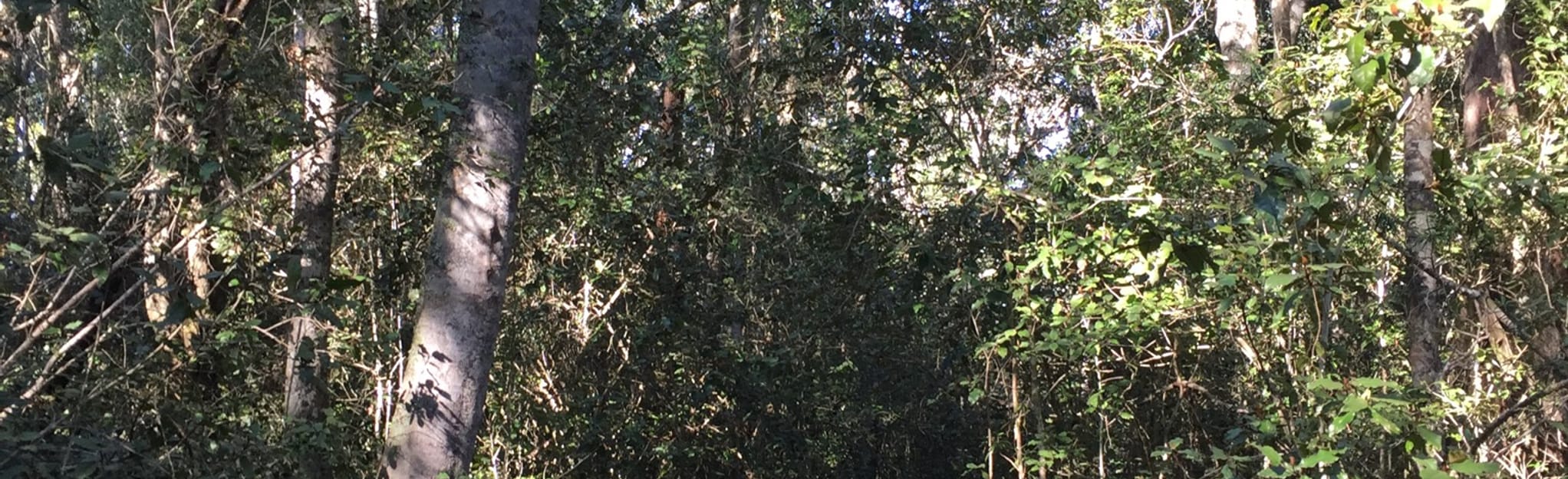 Perdekop Trail: 68 Fotos - Westkap, Südafrika | AllTrails