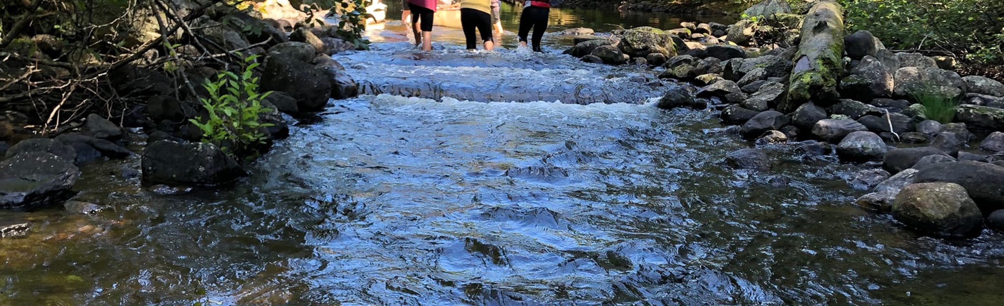 Big Trout Lake Loop: 34 Reviews, Map - Ontario, Canada | AllTrails