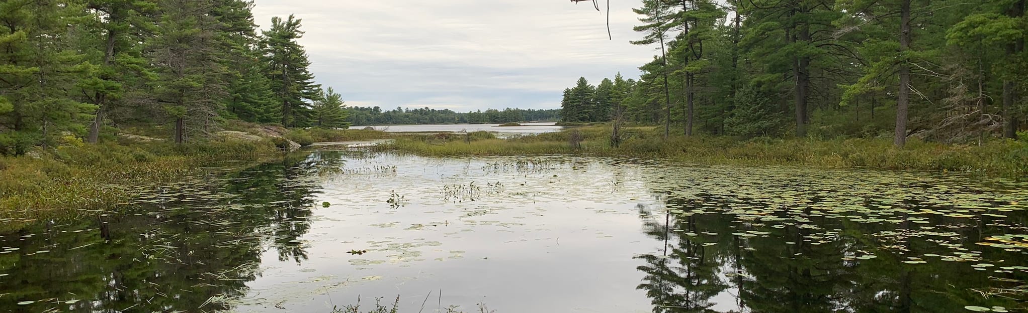 AllTrails | Gurd Lake Dam Trail: 19 Reviews, Map - Ontario, Canada