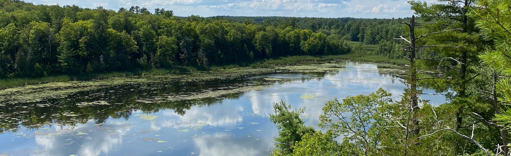 Snake River Trail: 65 Reviews, Map - Ontario, Canada | AllTrails
