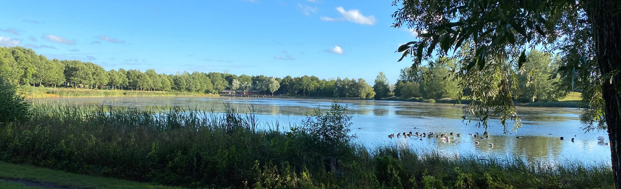 Vallensbæk and Tueholm Lake Circular: 43 Reviews, Map - Capital Region ...