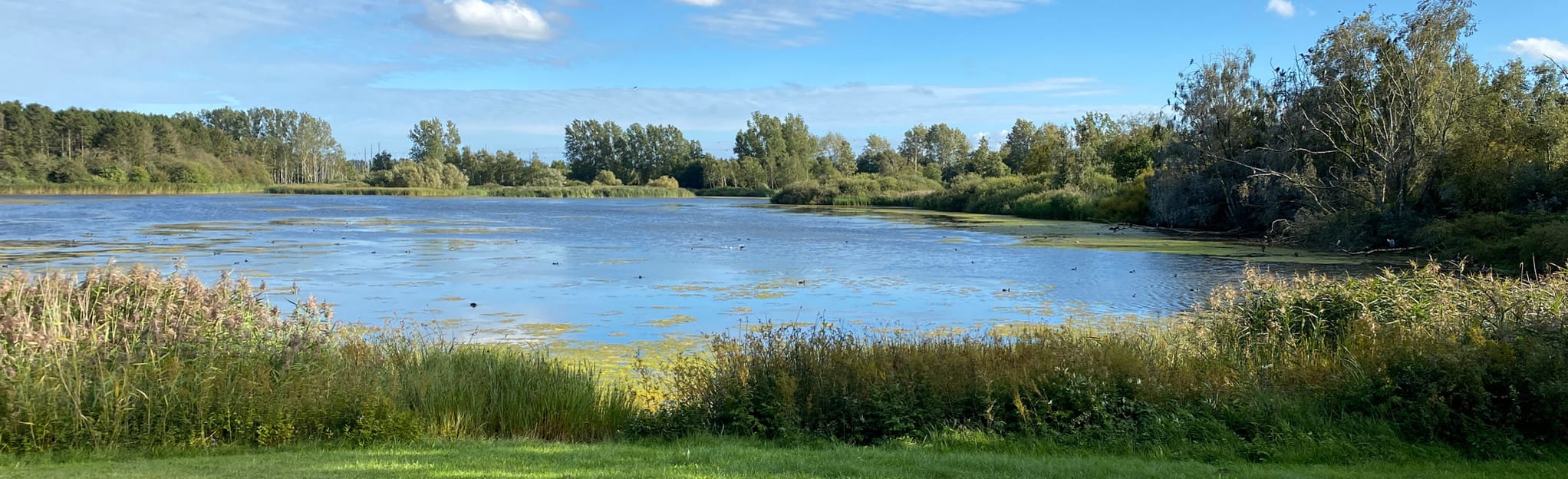 The Giants in Albertslund: 55 Reviews, Map - Capital Region of Denmark ...