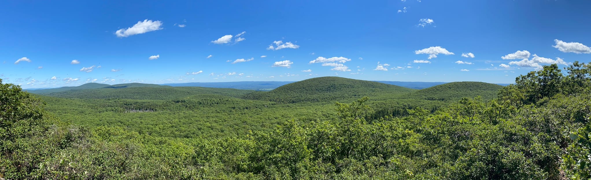 Mount Frissell and Brace Mountain Loop Trail, Connecticut - 1,045 ...