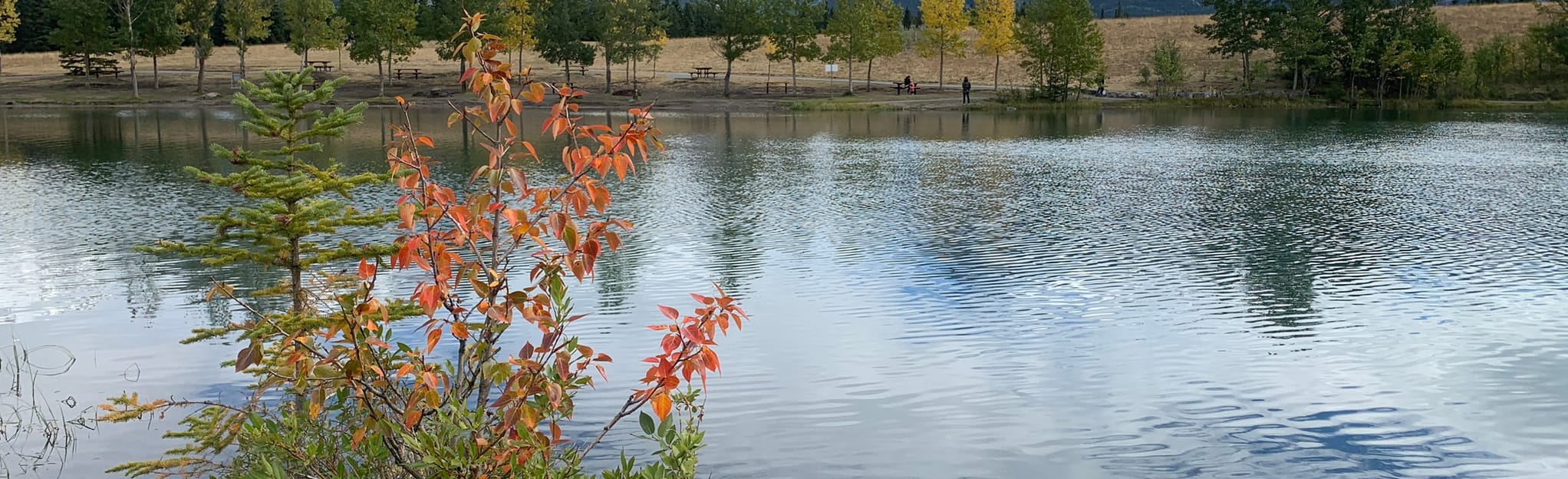 Quarry Lake Paddle: 10 Reviews, Map - Alberta, Canada | AllTrails