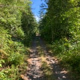 Summit Lake , British Columbia, Canada - 24 Reviews, Map | AllTrails