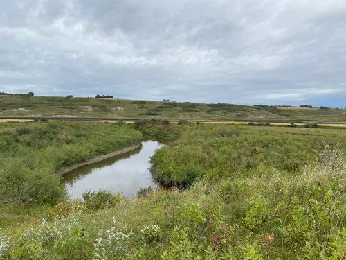 Bittern Lake : les meilleures randonnées pour voir des fleurs sauvages ...
