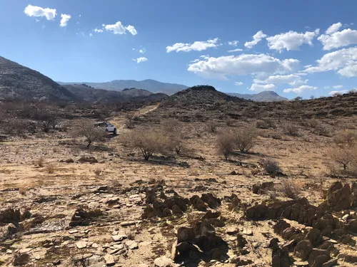 Best Off Road Driving Trails in Prescott National Forest | AllTrails