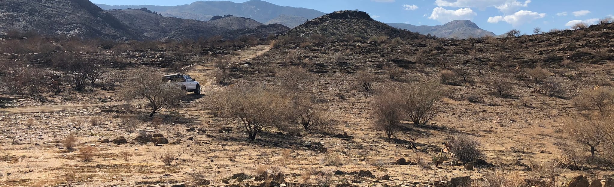 Castle Creek Road to Cleator, Arizona - 56 Reviews, Map | AllTrails