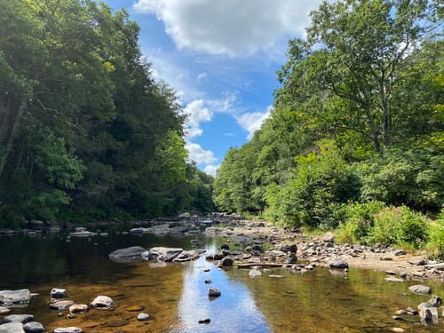 2023 Best Forest Trails in Natchaug State Forest | AllTrails