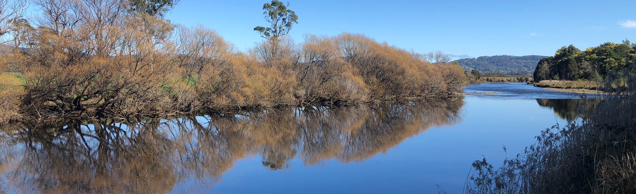 Teddy Sheean Walk: 30 foto's - Tasmanië, Australië | AllTrails