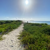 Bush Key Trail, Florida - 53 Reviews, Map | AllTrails